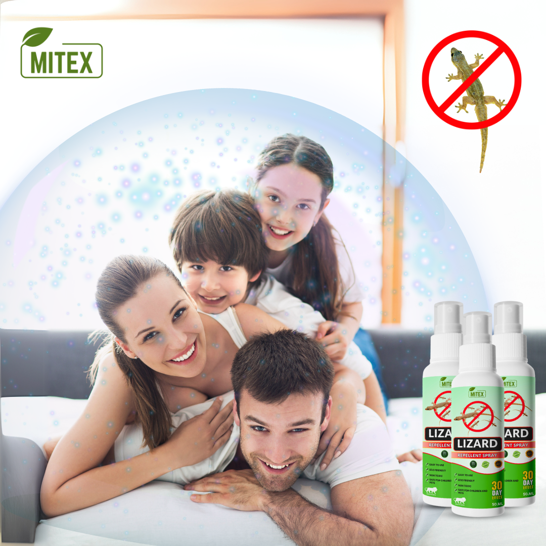 Lizard Repellent Spray - Protect your home from Pest, mite & insects ...